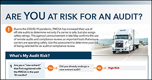 Off-Site Audits Risk Assessment Resource